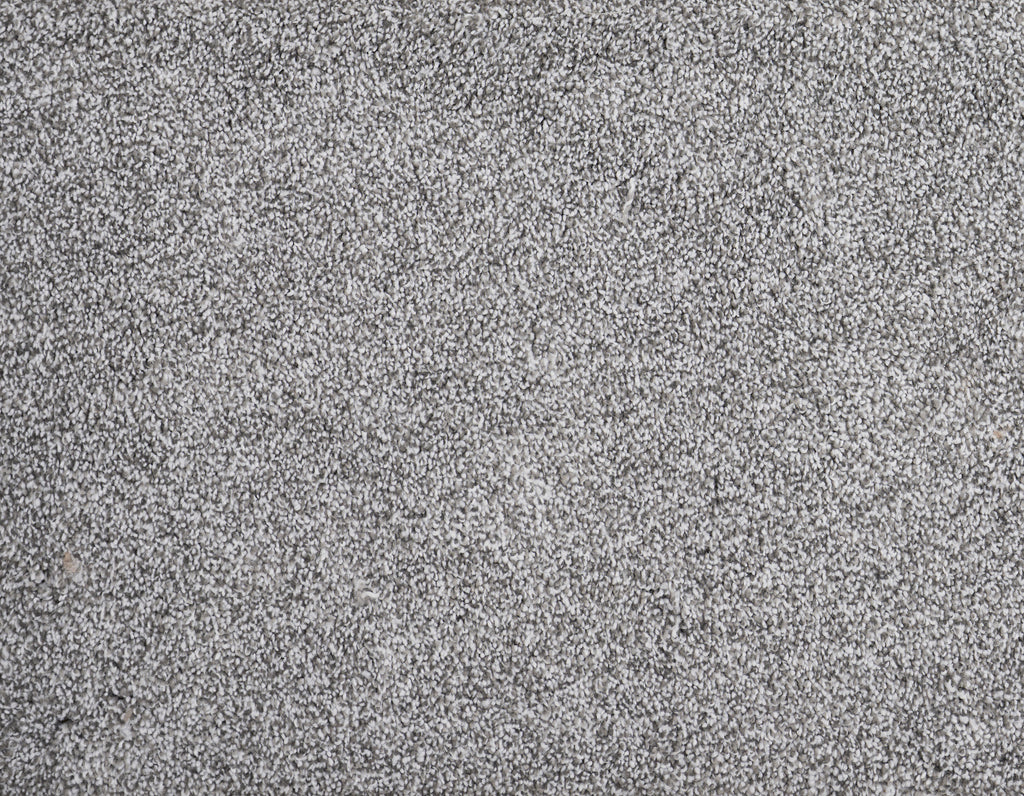 PARAMOUNT FIRST WATCH 5004 Carpet Roll